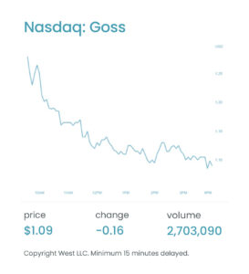 Overview - Gossamer Bio